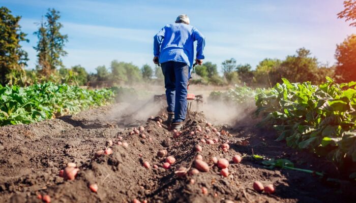 Asesoría en Maquinaria Agricola - Terramak